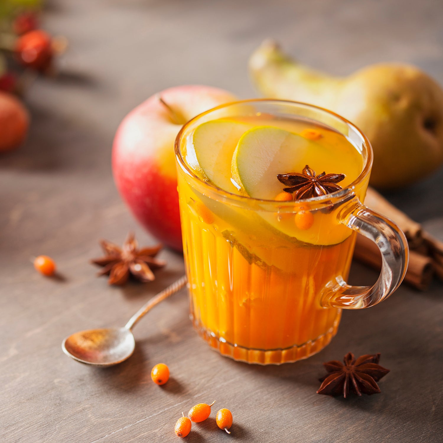 Wassail Spiced Apple Cider – Adelina Social Goods